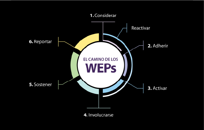 ¿Qué son los WEPs y cómo alcanzarlos? – Faconauto Woman